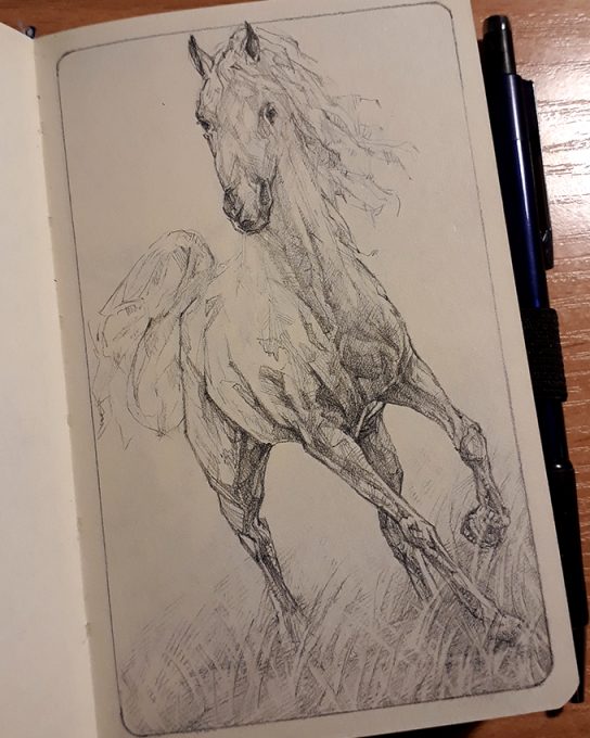 Horse quick sketch drawing - Figure Drawing by Dimitar Hristov - 54ka